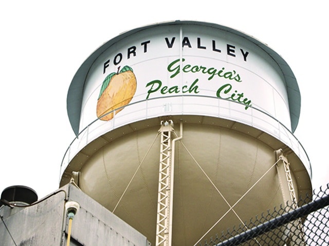 Fort Valley Downtown Development Authority makes plans alongside UGA ...