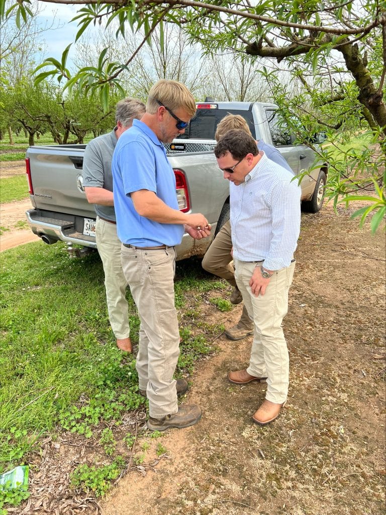 Department of Agriculture meets with local peach farmers – The Leader ...